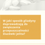 Co się stało, że pszenica zaczęła nam szkodzić? Obszerne, medyczne ...